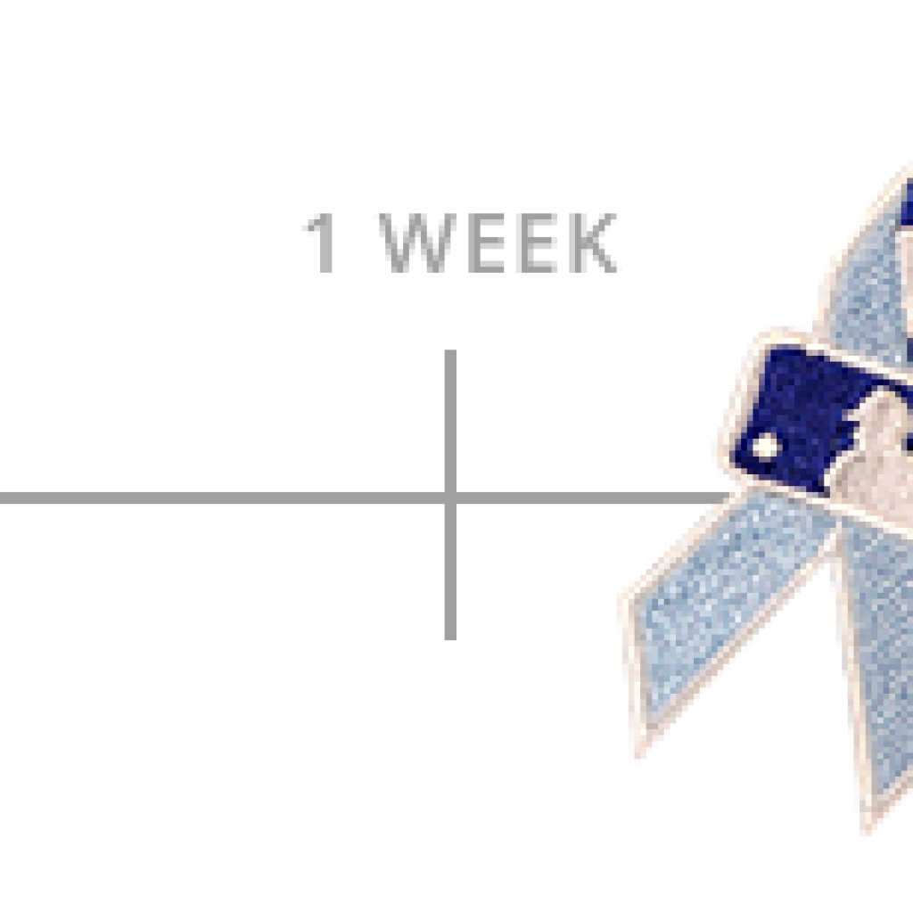 HRC-timeline-2Stickers - PCF Home Run Challenge