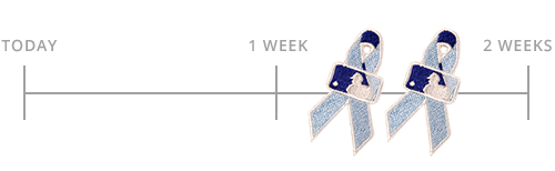 HRC-timeline-2Stickers - PCF Home Run Challenge