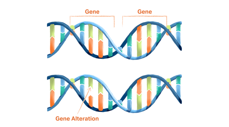 What are somatic and germline genetic testing? - Prostate Cancer Foundation